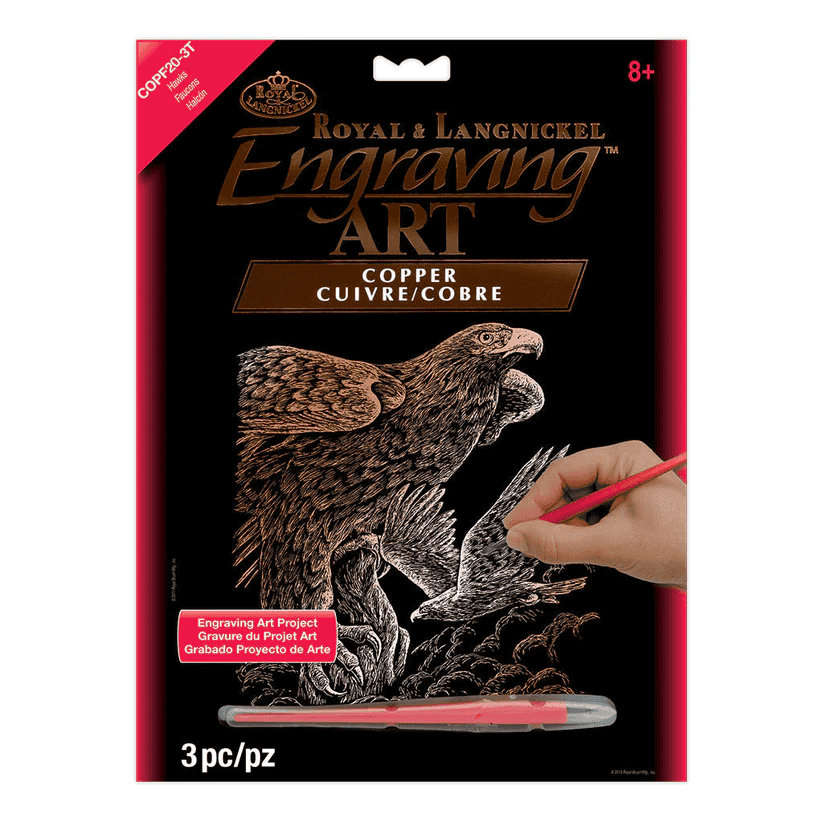 Copper Engraving Art - Hawks