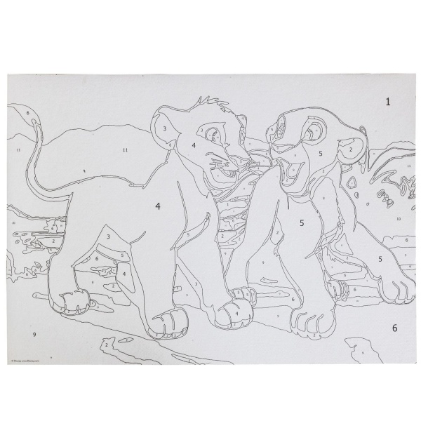 Painting by Numbers - All paint by numbers kits