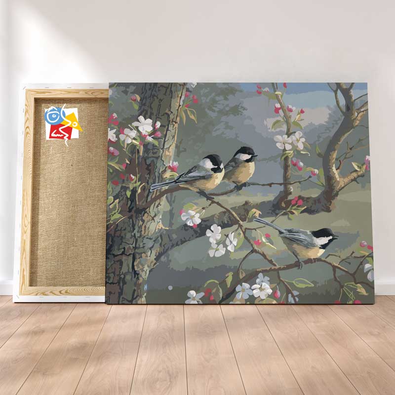 Painting by Numbers - All paint by numbers kits